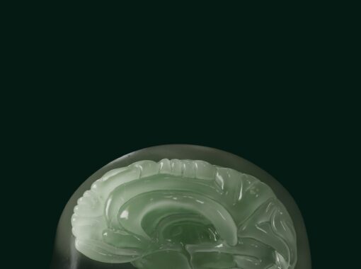 Henry Aryan MD: Pioneer in Neurosurgery and Spinal Innovations